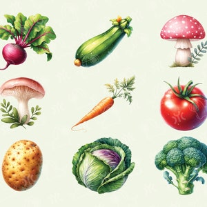 Watercolor Veggies Clipart, 53 PNG Files, High-resolution, Vegetables ...