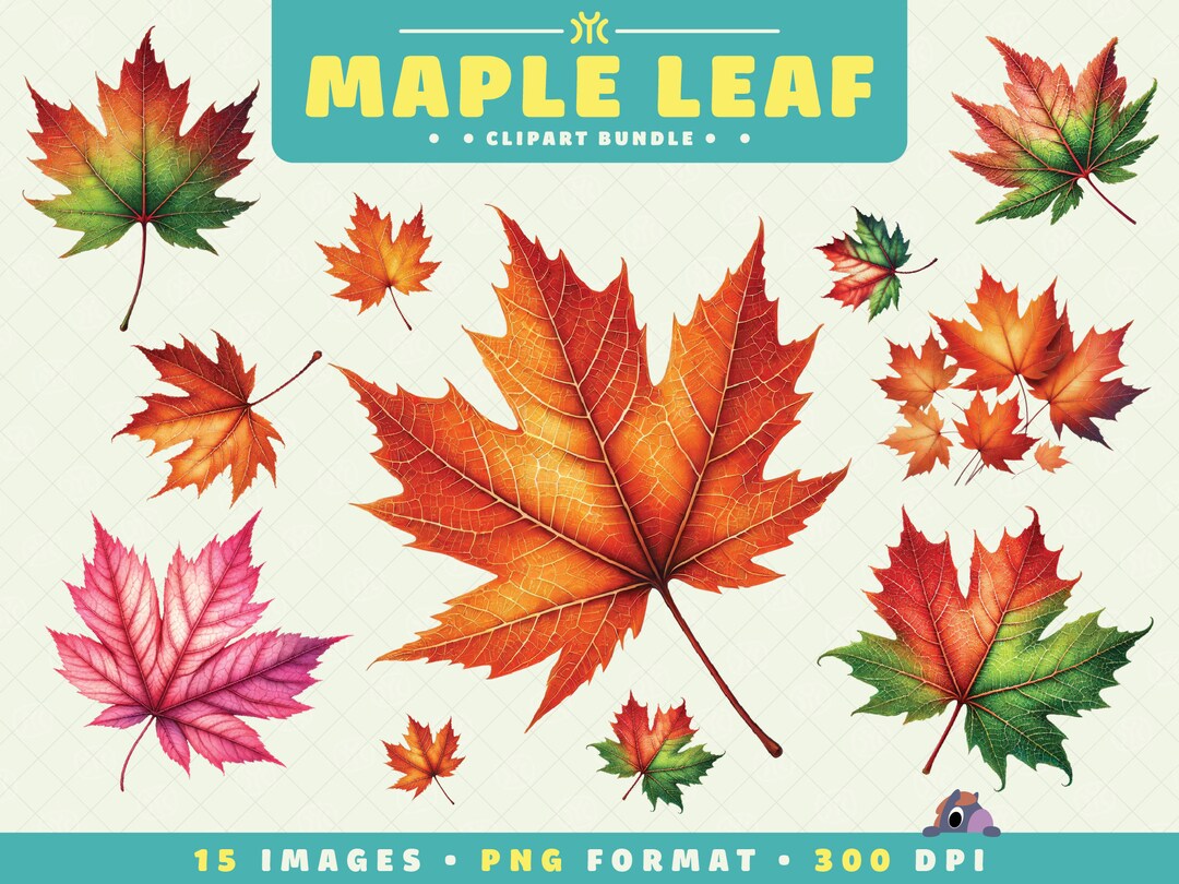 Maple Leaf Clipart, 15 PNG Files, High-resolution, Leaf Clipart, Autumn ...