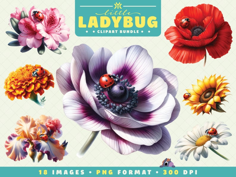 Little Ladybug on Flowers Clipart, Bugs PNG, Flowers PNG, Insects ...