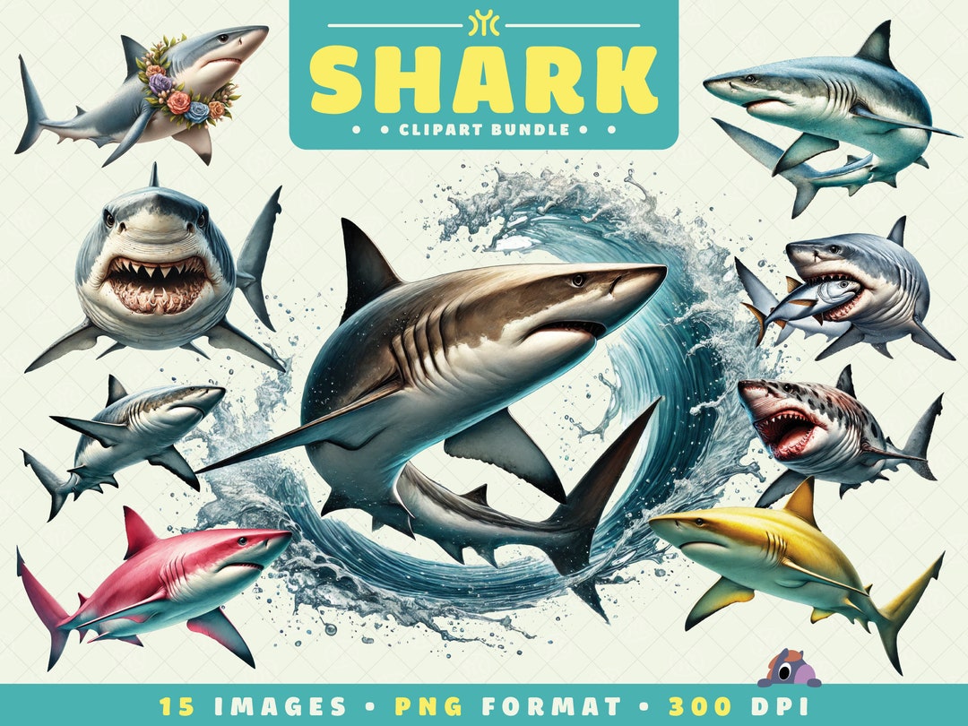 Shark Clipart, 15 PNG Files, High-resolution, Fish Clipart, Ocean Art ...