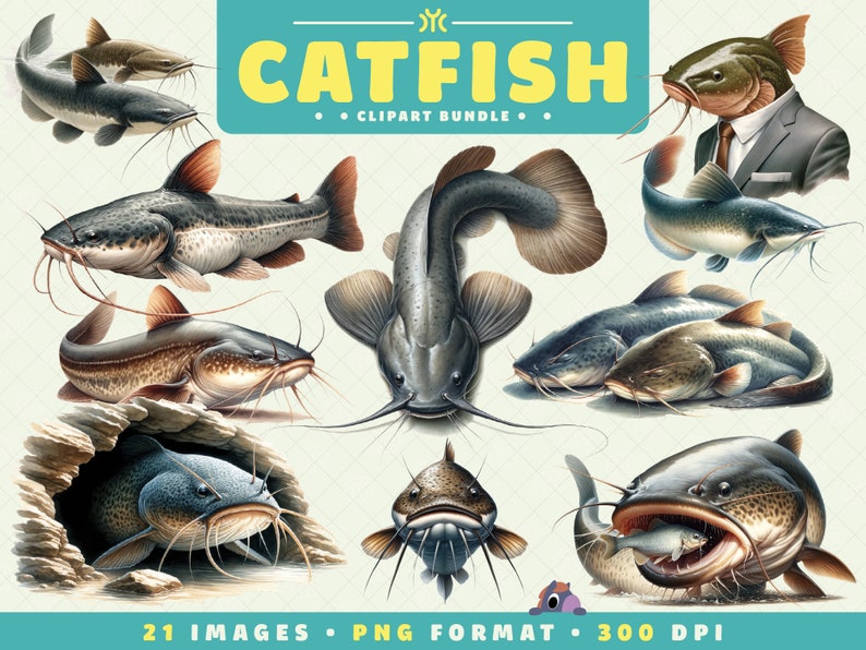 Catfish Clipart, 21 PNG Files, High-resolution, Fish PNG, Aquatic Art ...