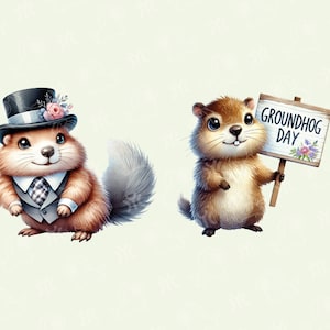 Cute Groundhog Clipart, 17 PNG Files, Groundhog Day, Adorable Wildlife ...