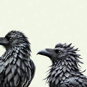 Gothic Raven Clipart, 12 PNG Files, High-resolution, Bird Clipart ...