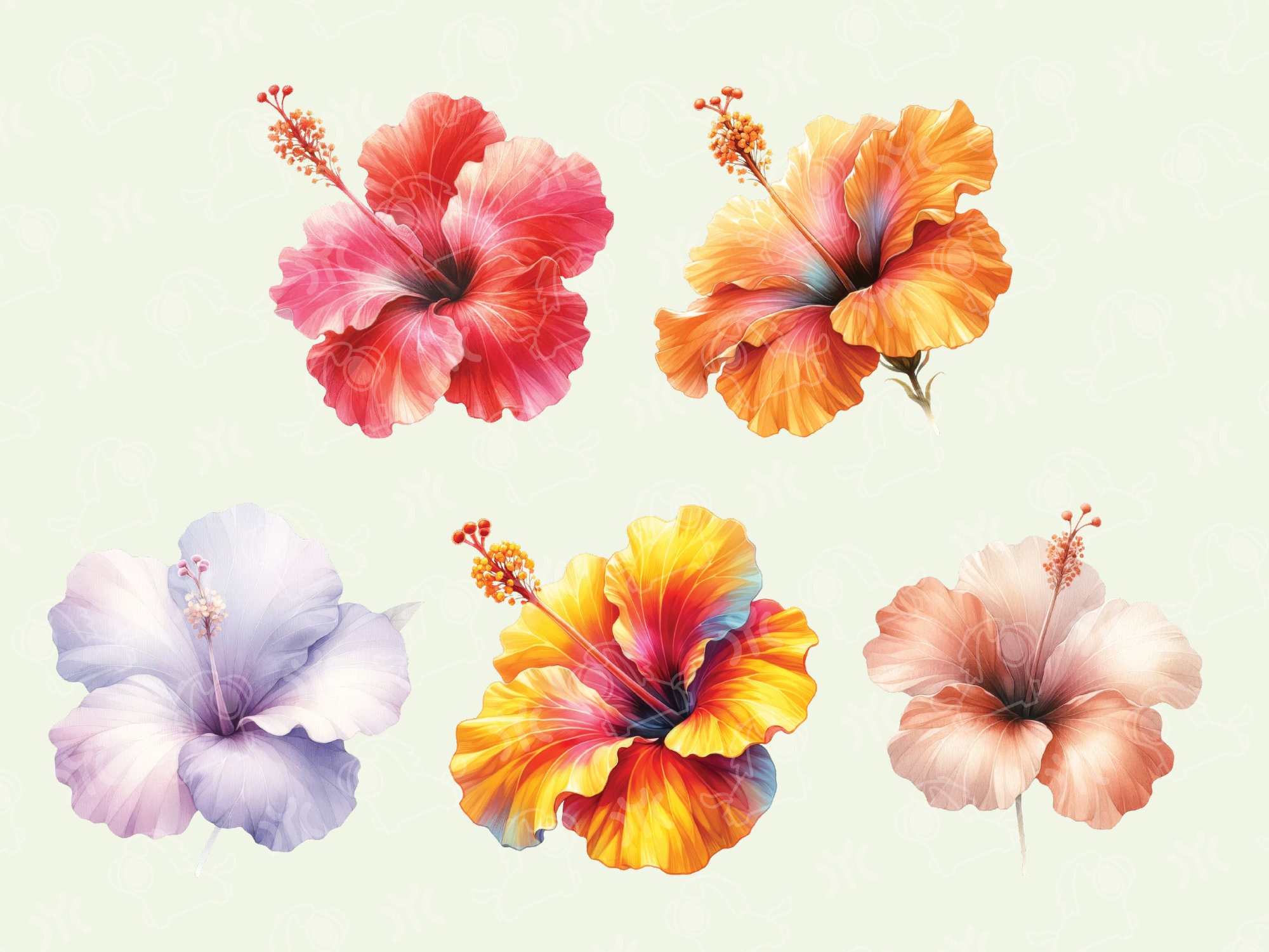 Watercolor Hibiscus Flower Clipart, Hibiscus Clip Art, Hawaiian Flower ...