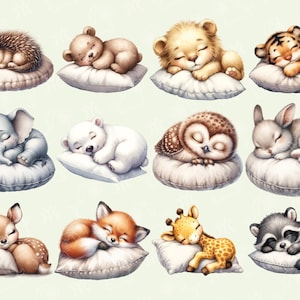 Watercolor Sleepy Animals Clipart, Animals Sleeping PNG, Woodland ...