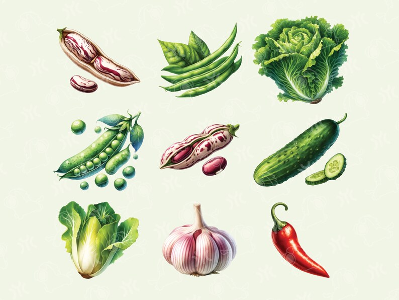 Watercolor Veggies Clipart, 53 PNG Files, High-resolution, Vegetables ...