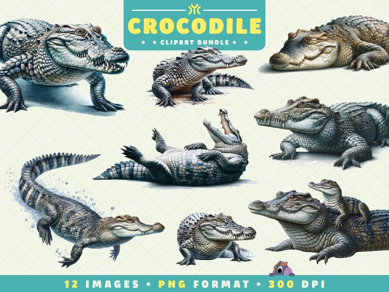 Crocodile Clipart, 12 High Quality Pngs, Watercolor Clipart Bundle ...