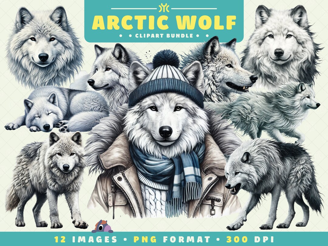 Arctic Wolf Clipart, 12 PNG Files, High-resolution, Wolf PNF, Wildlife ...