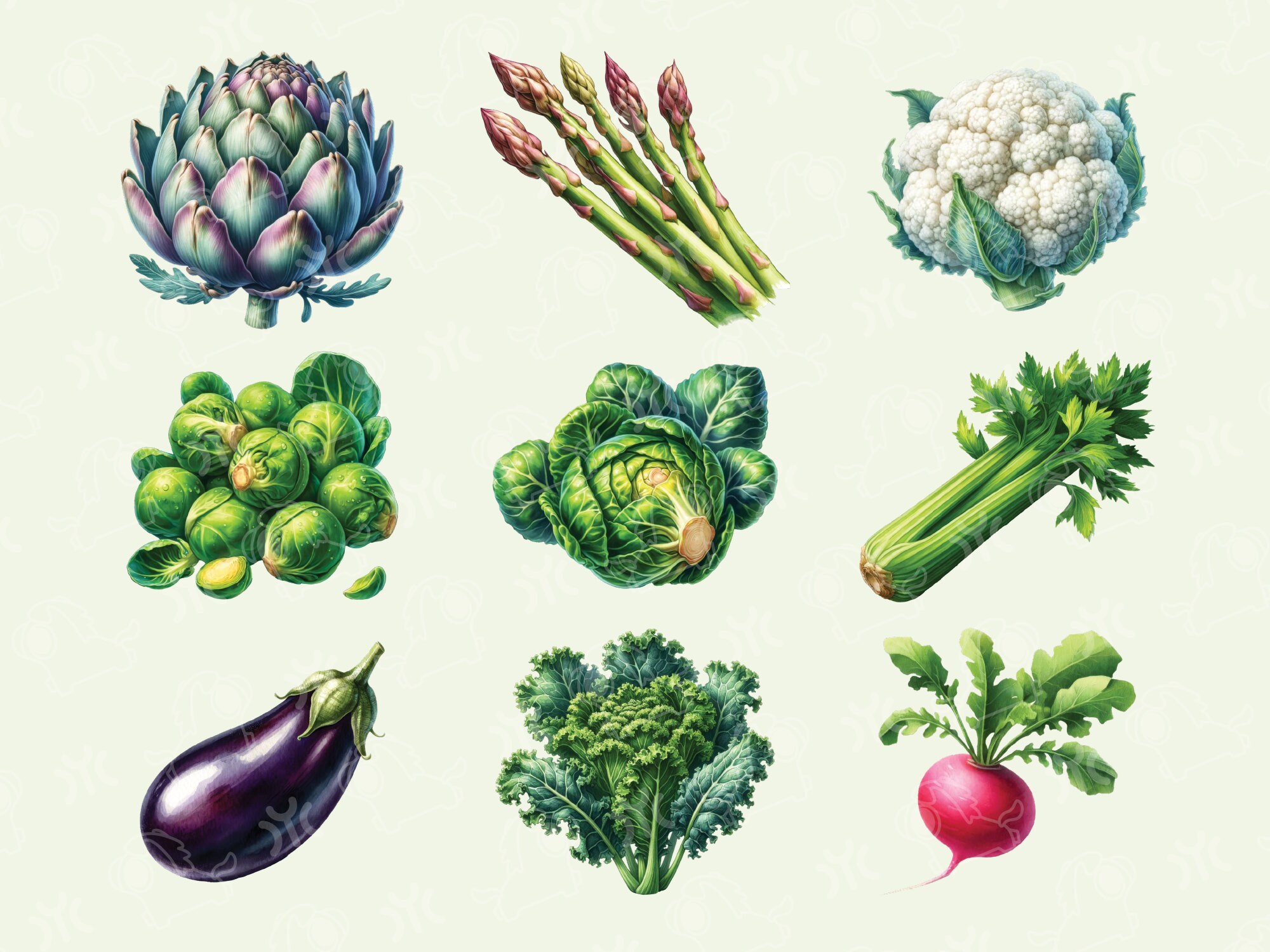 Watercolor Veggies Clipart, 53 PNG Files, High-resolution, Vegetables ...