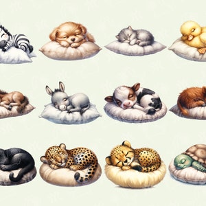 Watercolor Sleepy Animals Clipart, Animals Sleeping PNG, Woodland ...