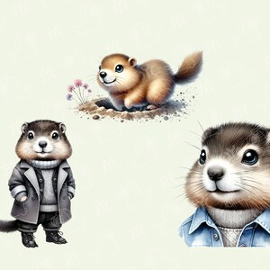 Cute Groundhog Clipart, 17 PNG Files, Groundhog Day, Adorable Wildlife ...