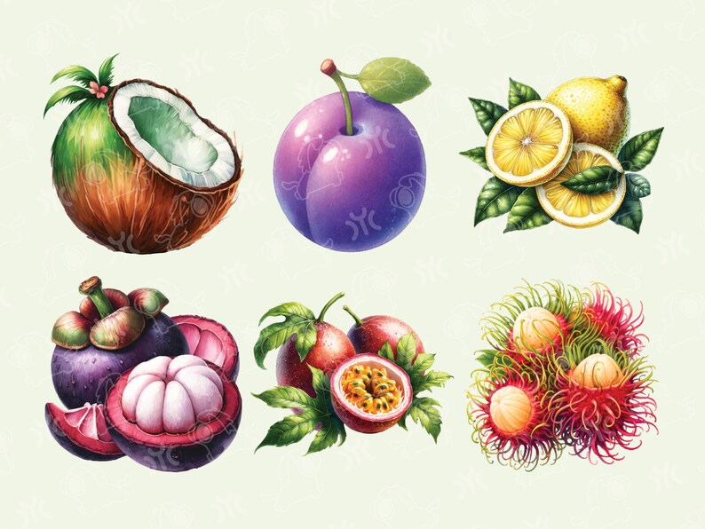 Watercolor Fruits Clipart, 40 High Quality Pngs, Watercolor Clipart ...
