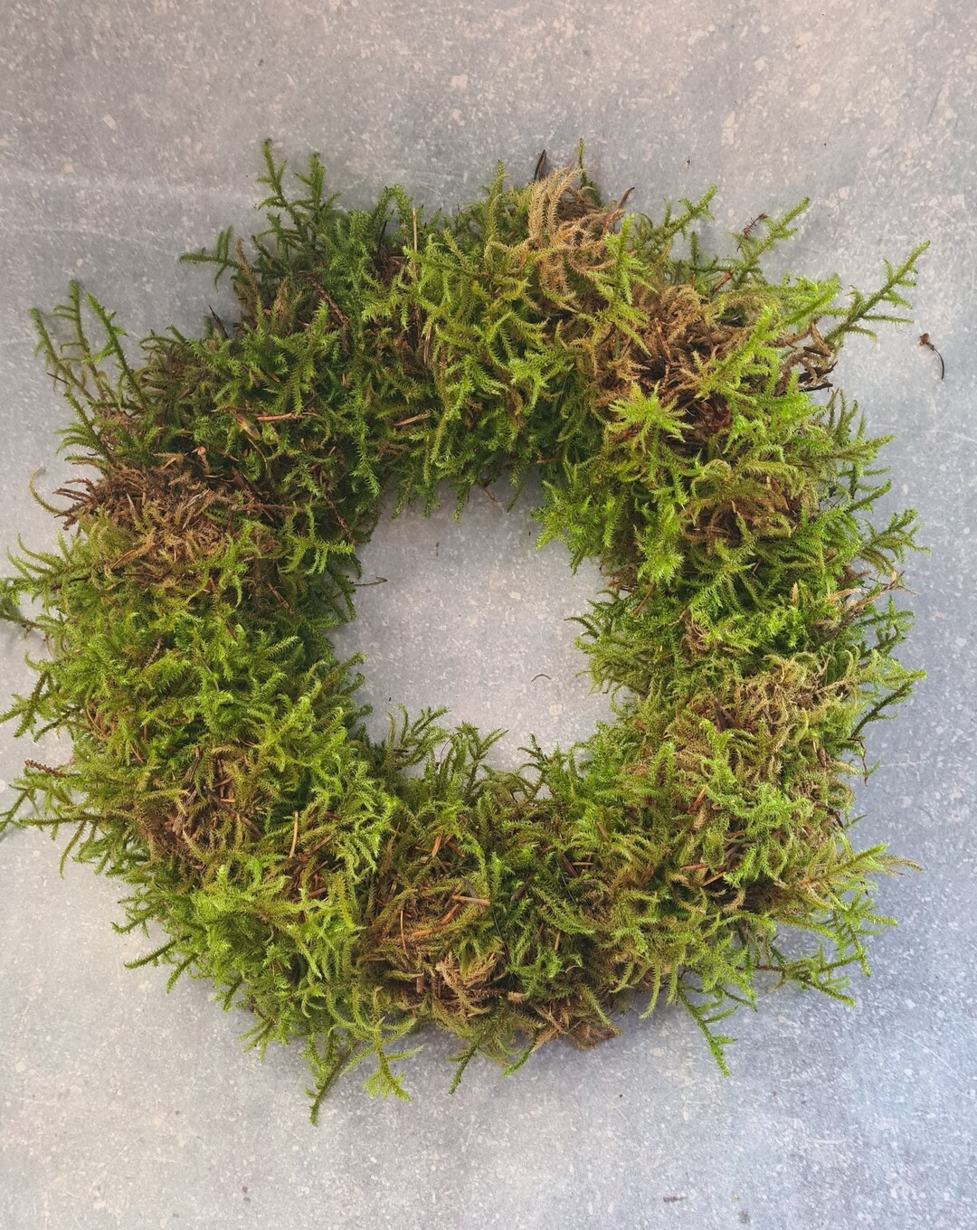 Fresh Moss Wreath Base Kit, Create From Scratch, Diy Wreath Making - Etsy