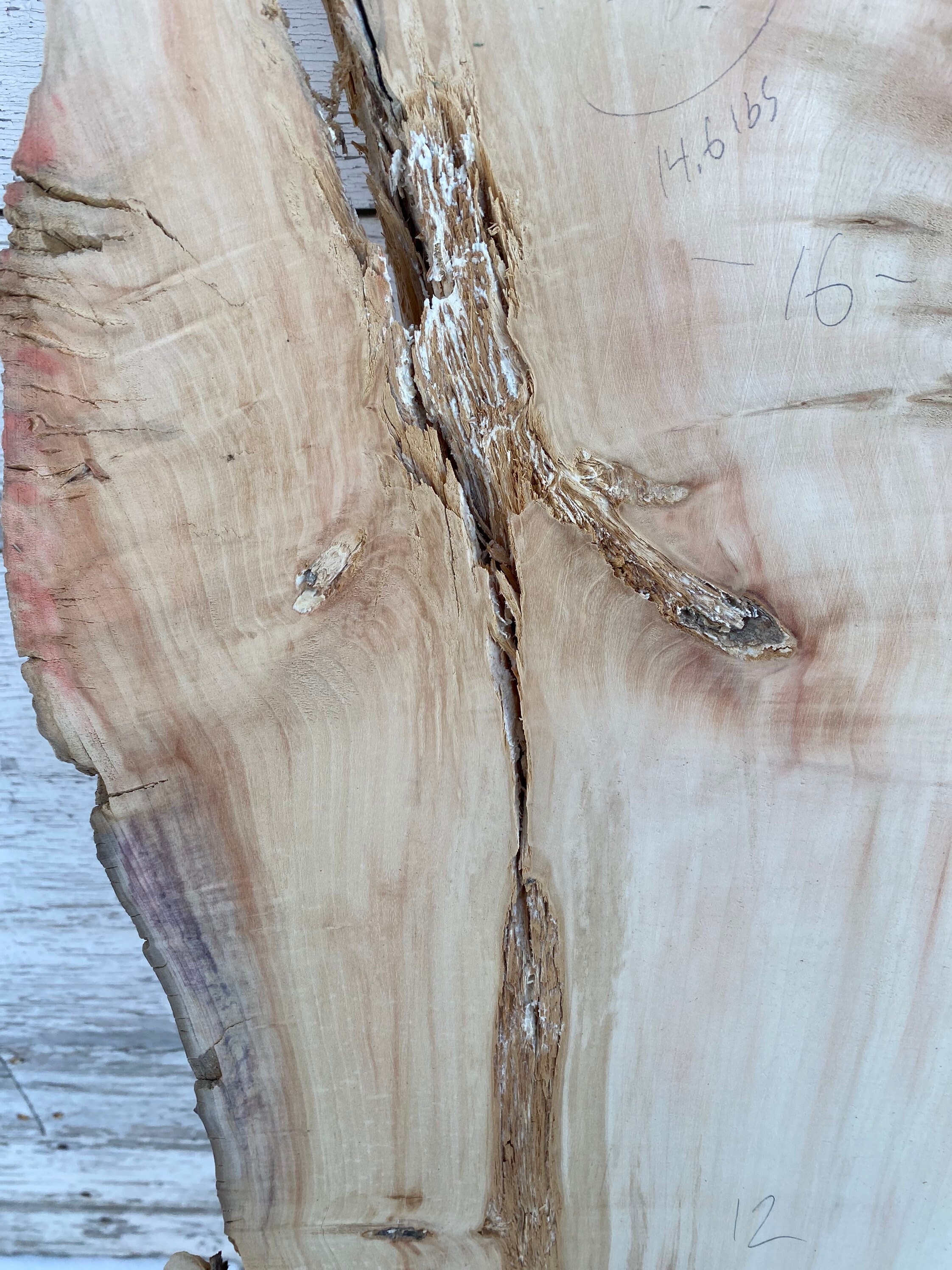 Flaming Box Elder Slab Maple Live Edge Slab Live Edge Slab | Etsy