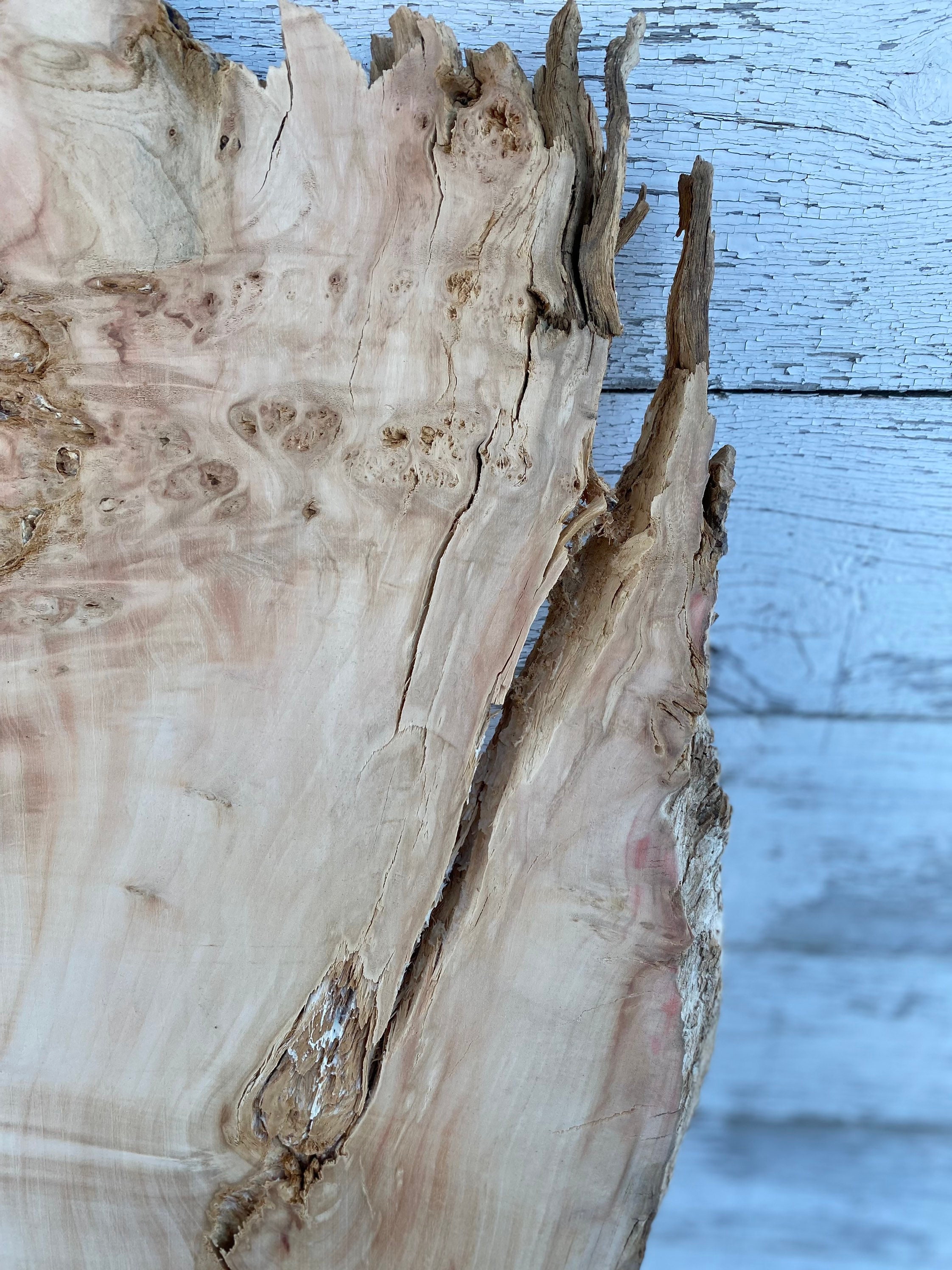 Flaming Box Elder Slab Maple Live Edge Slab Live Edge Slab | Etsy