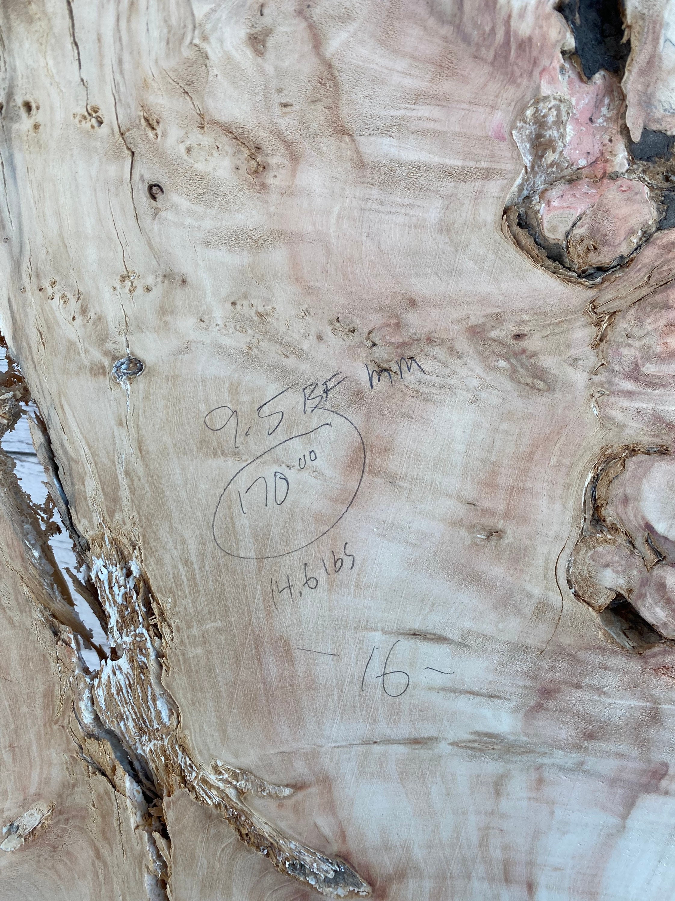 Flaming Box Elder Slab Maple Live Edge Slab Live Edge Slab | Etsy