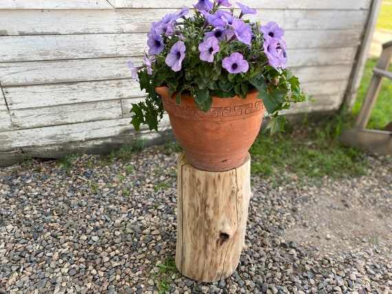 Tree Stump Table Rustic Tables Stump Coffee Table Rustic - Etsy