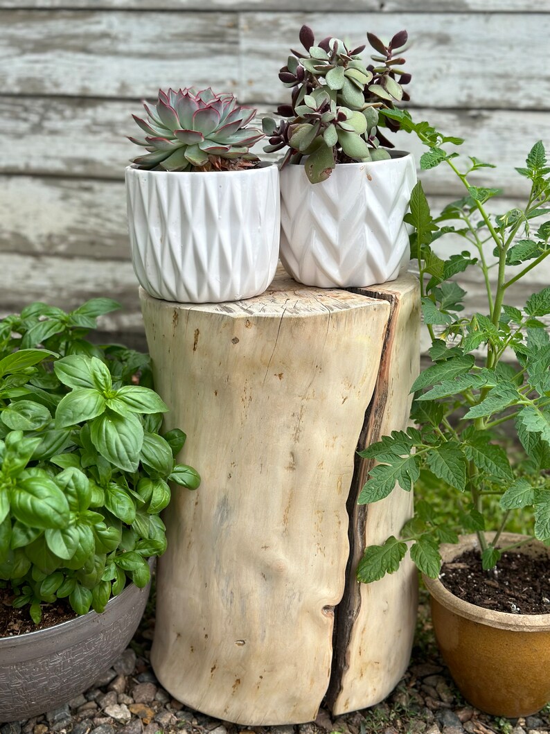 Bedside Table Rustic Side Table Log Night Table Tree Stump - Etsy