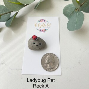 Kawaii Cute Rock Buddy Figurine - Etsy