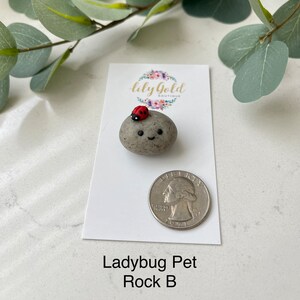 Kawaii Cute Rock Buddy Figurine - Etsy