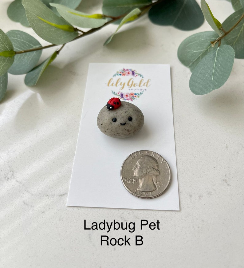 Kawaii Cute Rock Buddy Figurine - Etsy