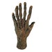 Bizarre! 6 Six Finger Mummified Hand Oddity Medical Gaff Mummy - Etsy