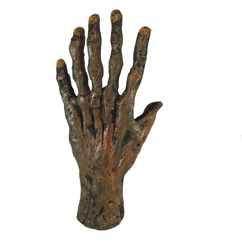 Bizarre! 6 Six Finger Mummified Hand Oddity Medical Gaff Mummy - Etsy