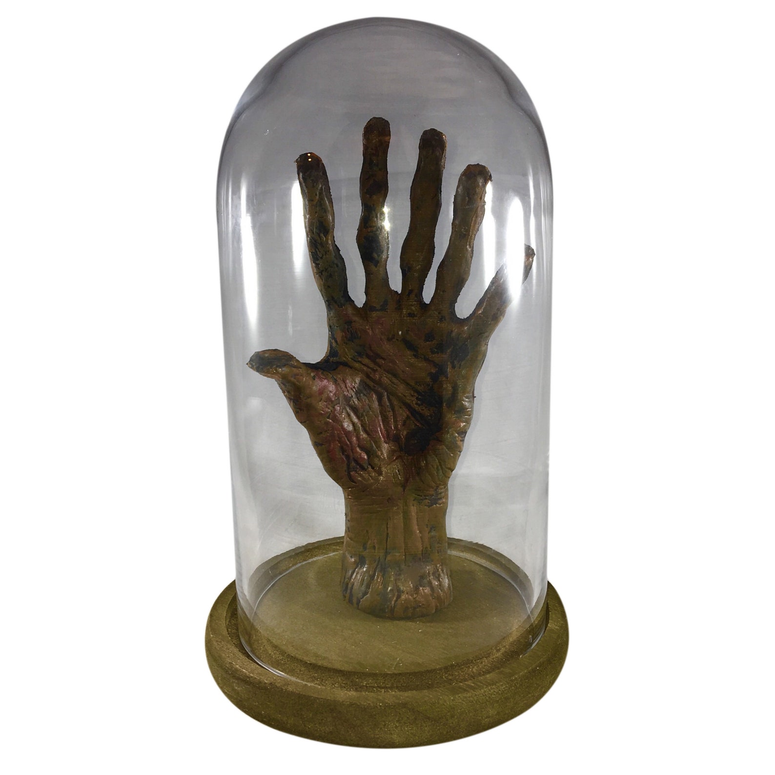 Bizarre 6 Finger Mummified Hand With Jar Oddity Medical Gaff - Etsy
