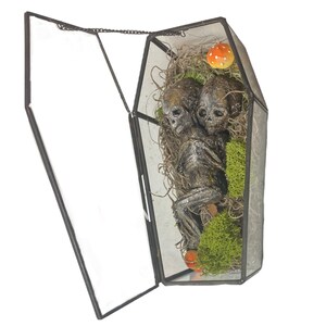 Already Dead Glass Coffin Siamese Twin Mummy Corpse Terrarium Moss ...