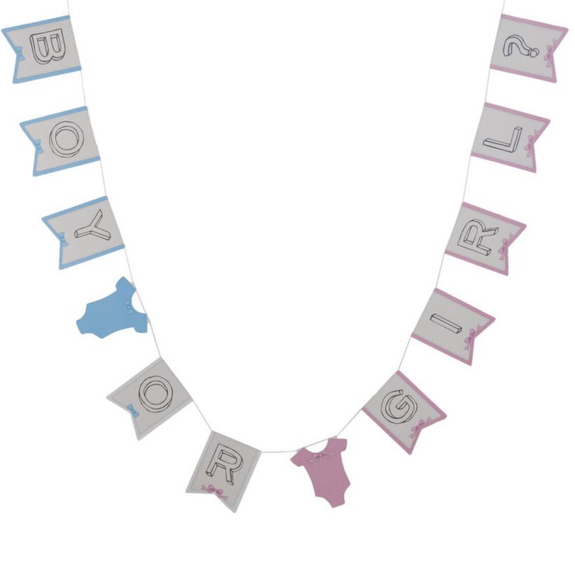 Gender Reveal Party Banner Boy or Girl Bunting Little Lady - Etsy