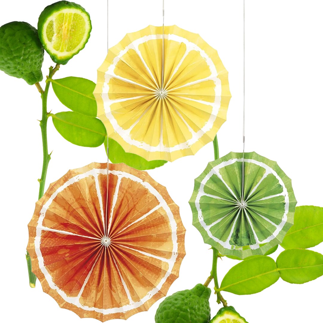 3 Citrus Fruit Paper Fan Decorations Summer Party Pool - Etsy
