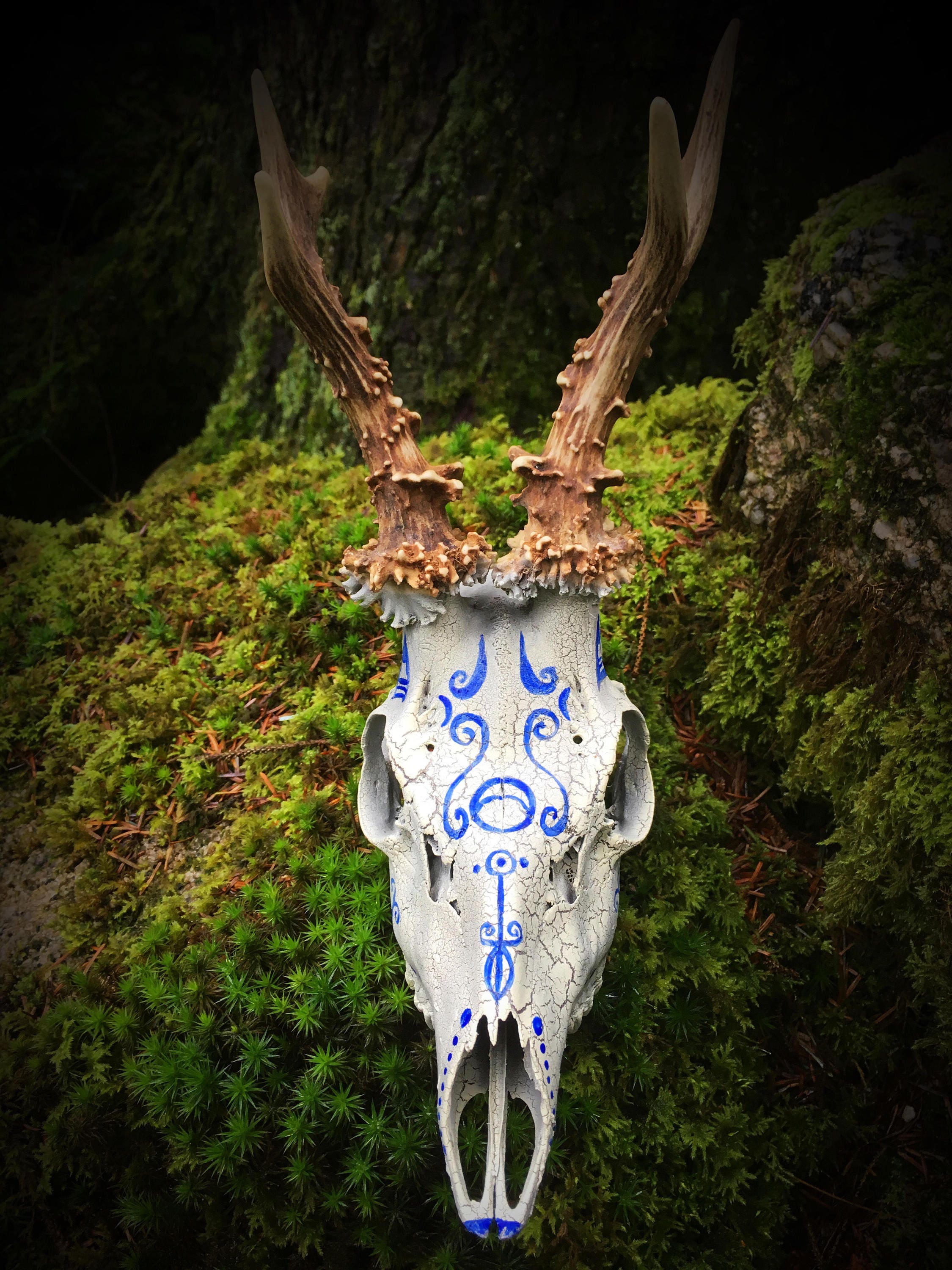 Beautiful Hand Painted Roe Deer, Buck, Skull. Pagan, Pictish Blue ...