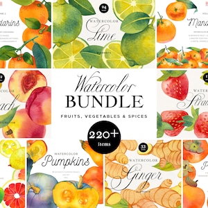 Watercolor Clipart Bundle, Hand Painted Fruits, Berries and Vegetables ...