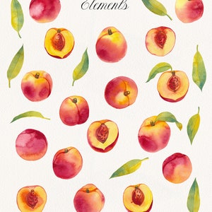 Watercolor Clipart Bundle, Hand Painted Fruits, Berries and Vegetables ...
