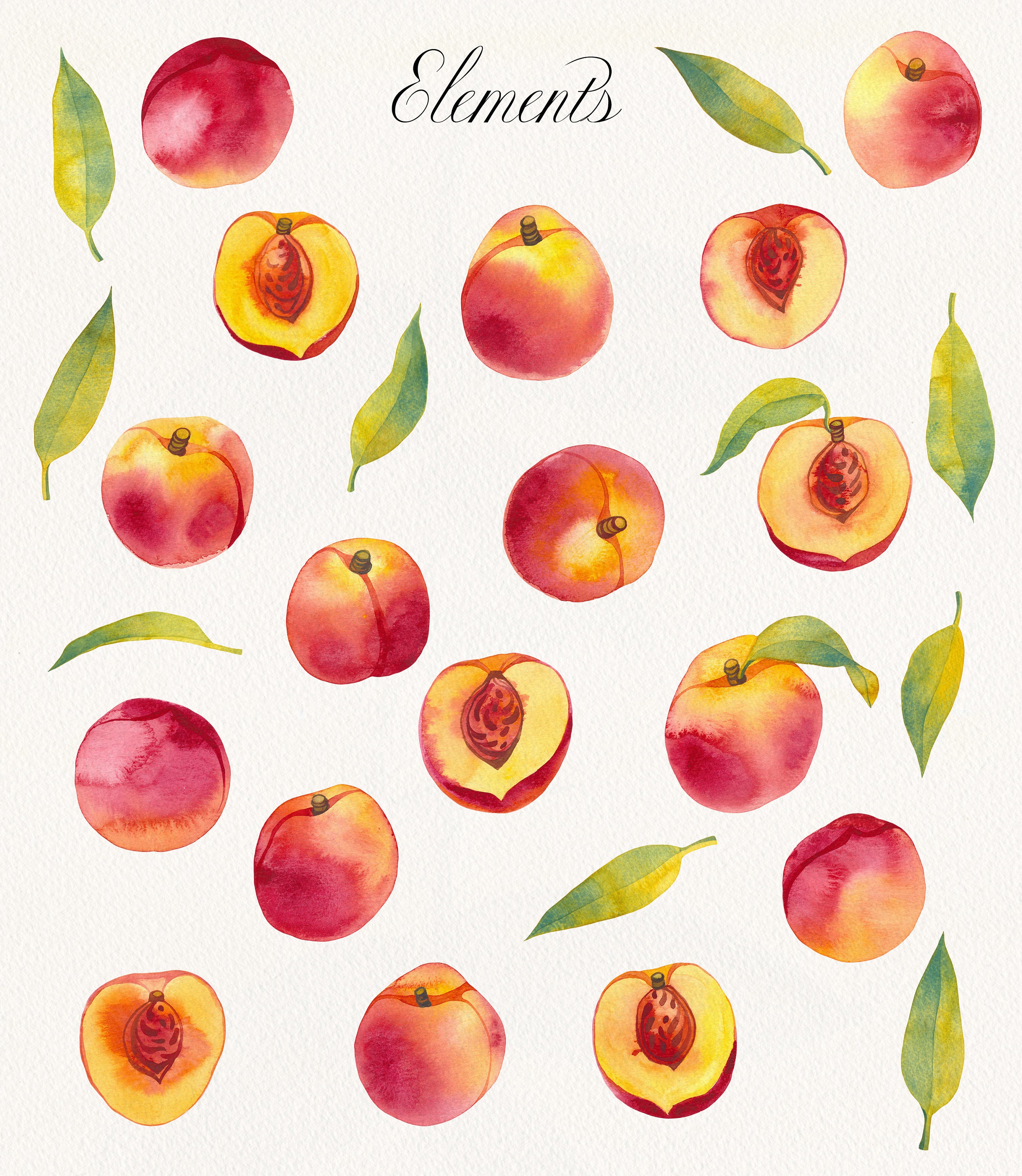 Watercolor Clipart Bundle Hand Painted Fruits Berries and - Etsy