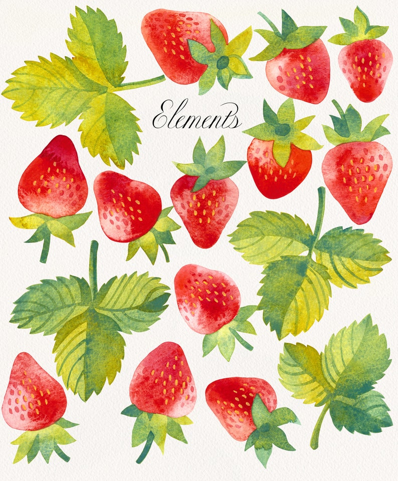 Watercolor Clipart Bundle Hand Painted Fruits Berries and - Etsy