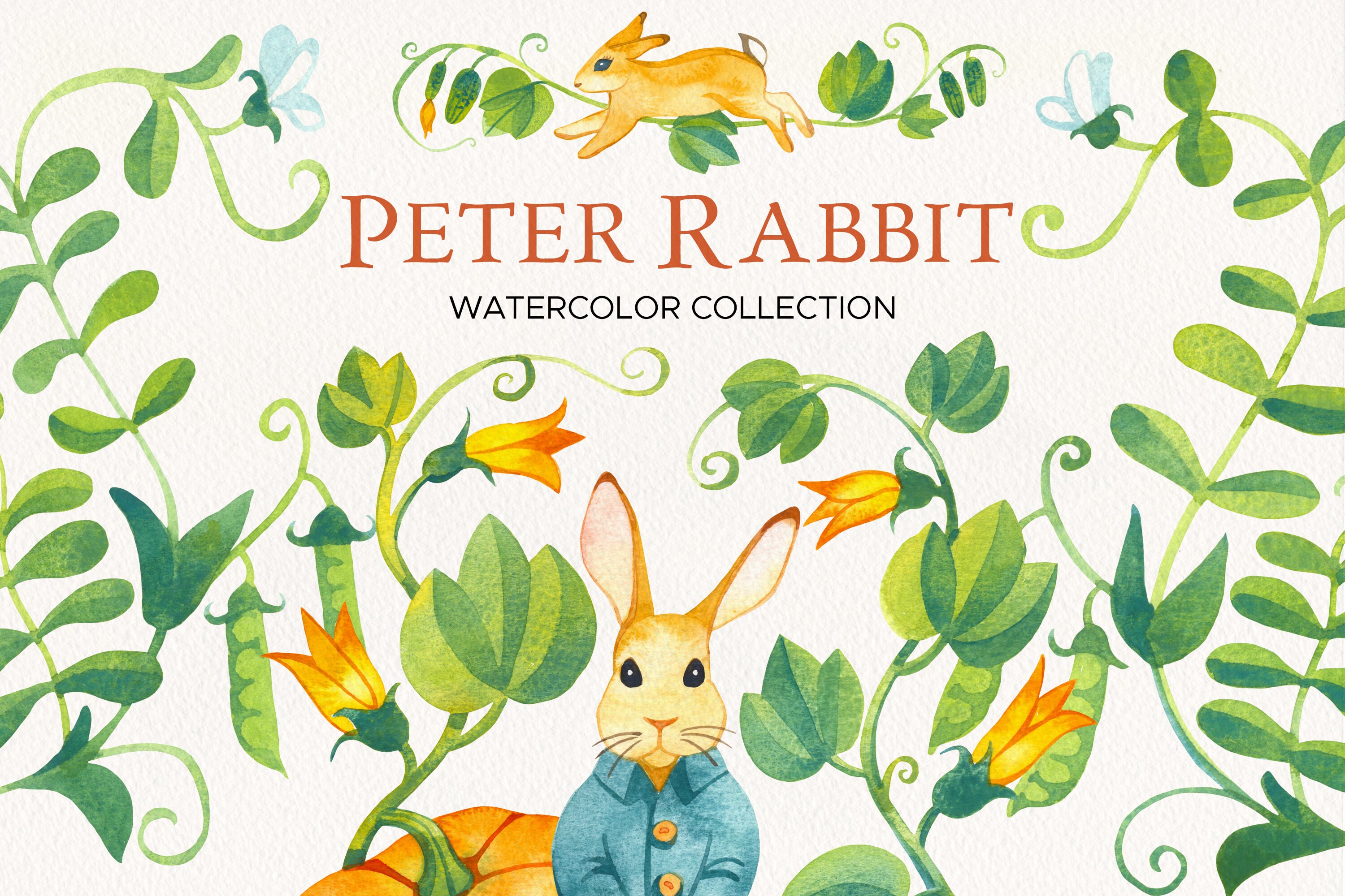 Peter Rabbit Clipart Watercolor Nursery Clip Art Cute Baby - Etsy UK