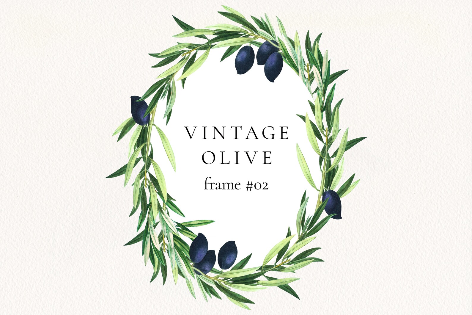 Olive Branches Frame 02 PNG Olive Oval Wreath Olive Wedding - Etsy