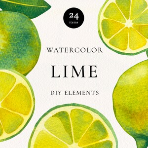 Lime Watercolor Clip Art, Lime Citrus Elements Painting PNG Clipart ...