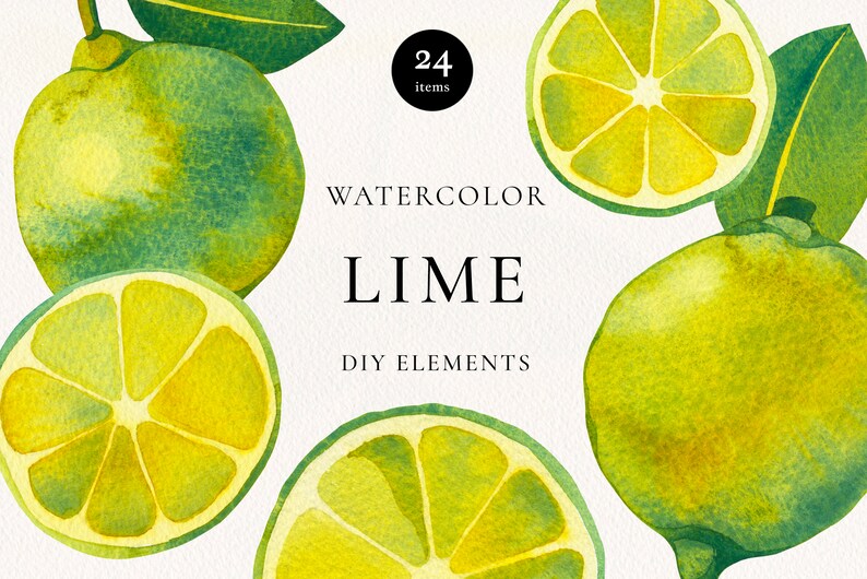 Lime Watercolor Clip Art Lime Citrus Elements Painting PNG - Etsy