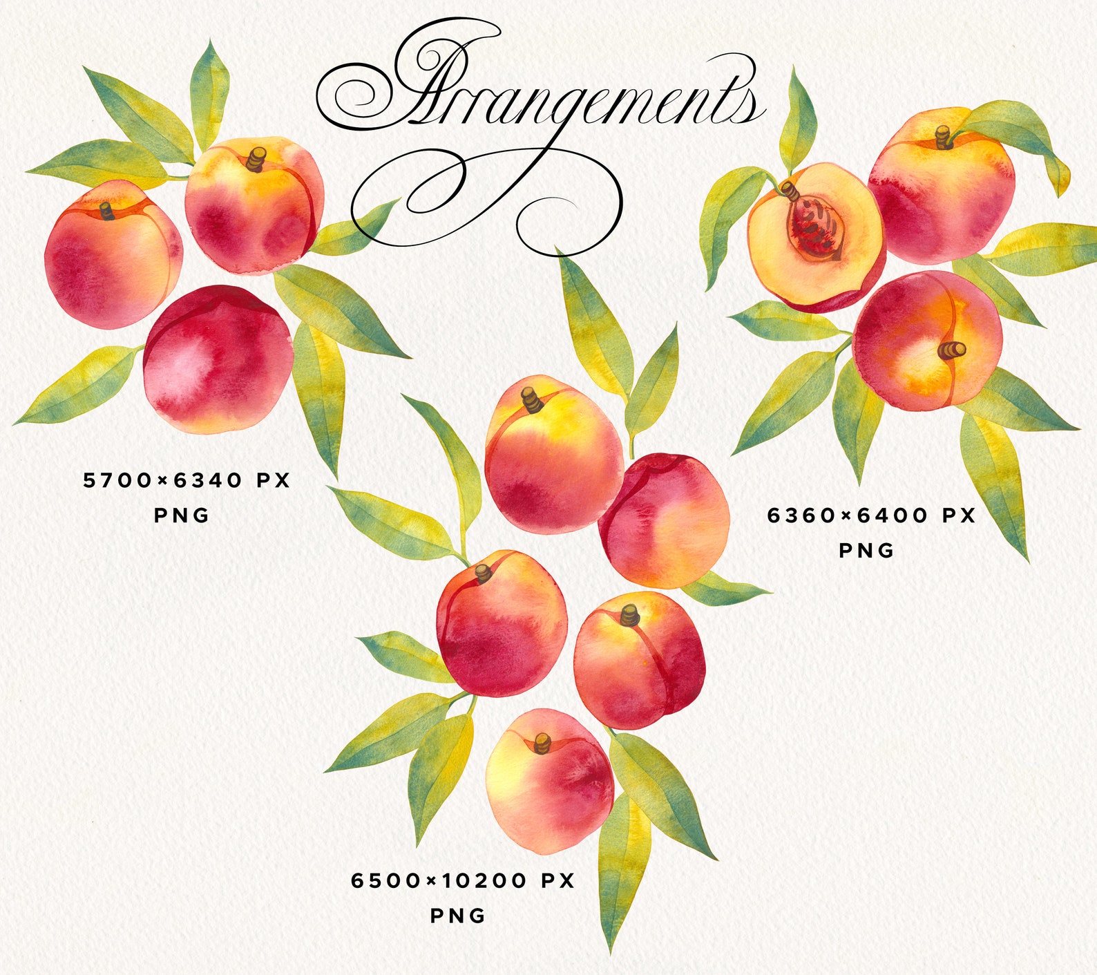 Peach Fruit Watercolor Clip Art Peach Painting PNG Clipart - Etsy