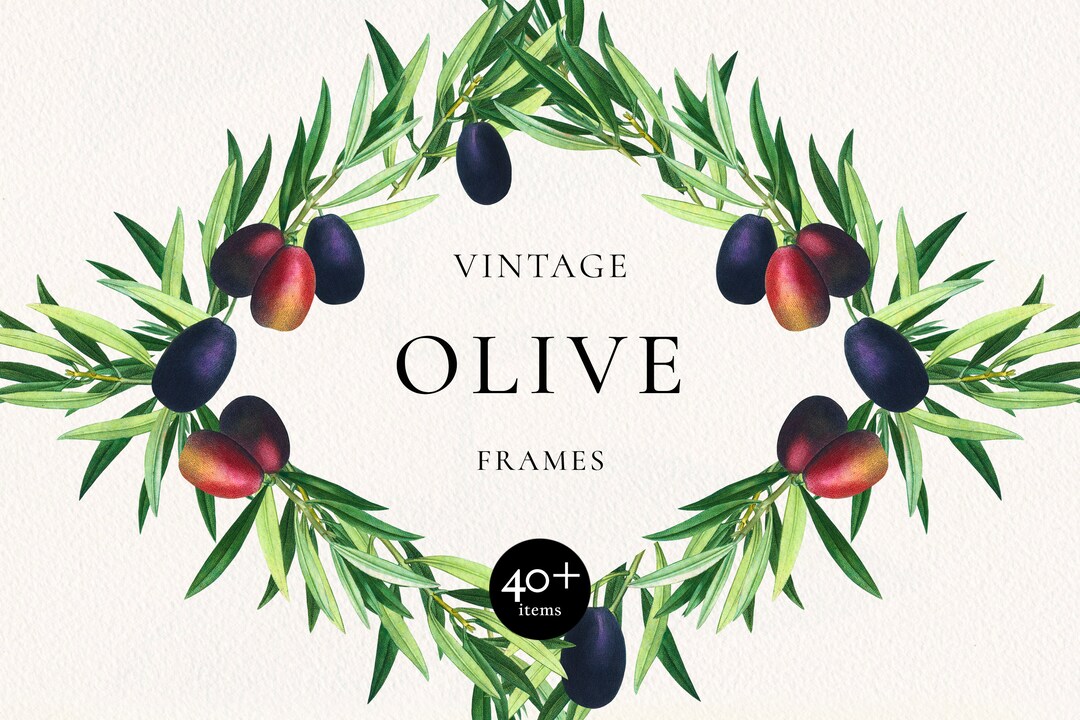 Imágenes prediseñadas de marcos de olivo, ramas y ramitas de olivo ...