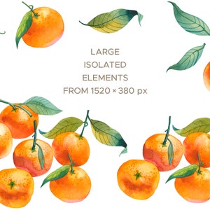 Watercolor Clipart Bundle, Hand Painted Fruits, Berries and Vegetables ...