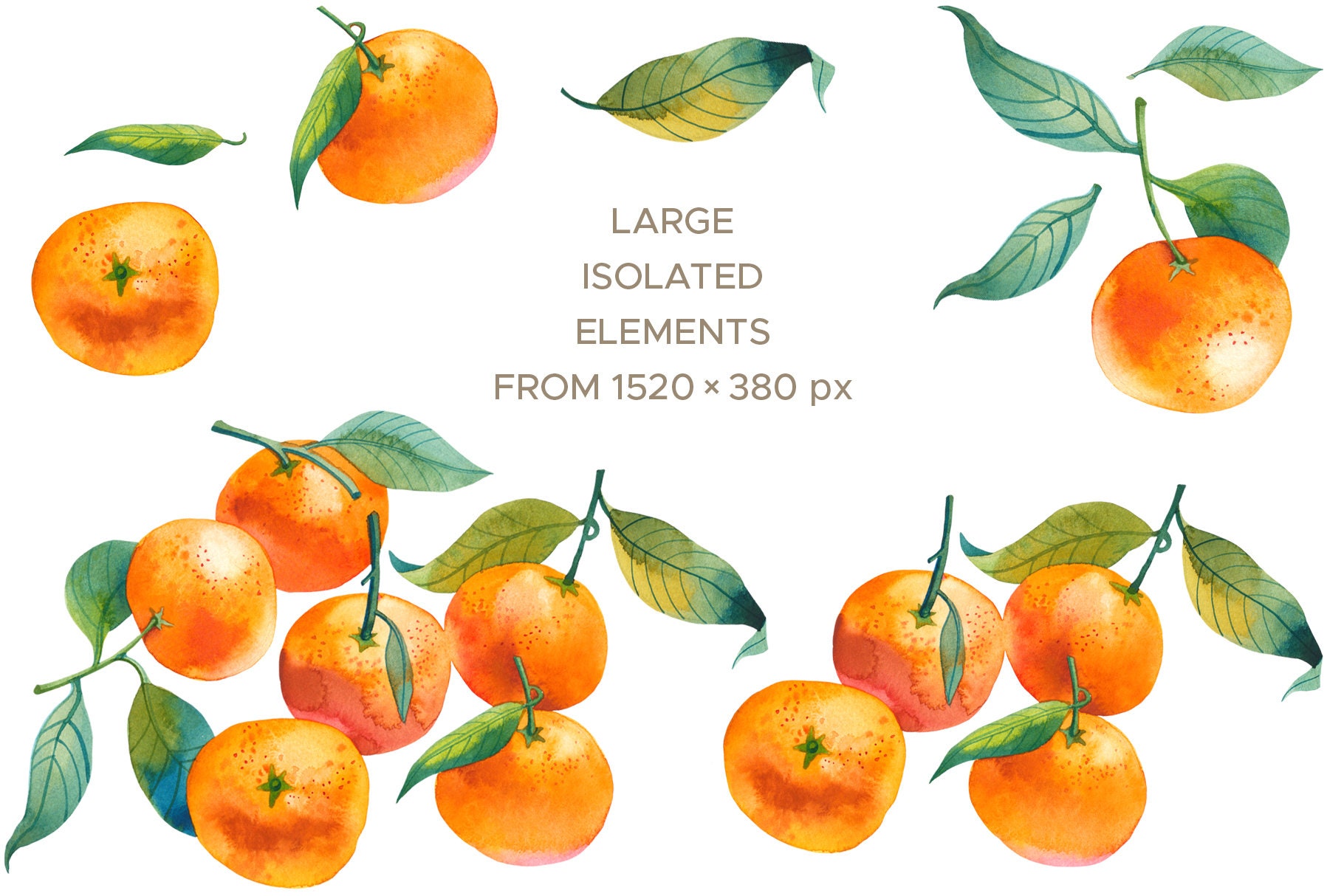 Watercolor Clipart Bundle Hand Painted Fruits Berries and - Etsy