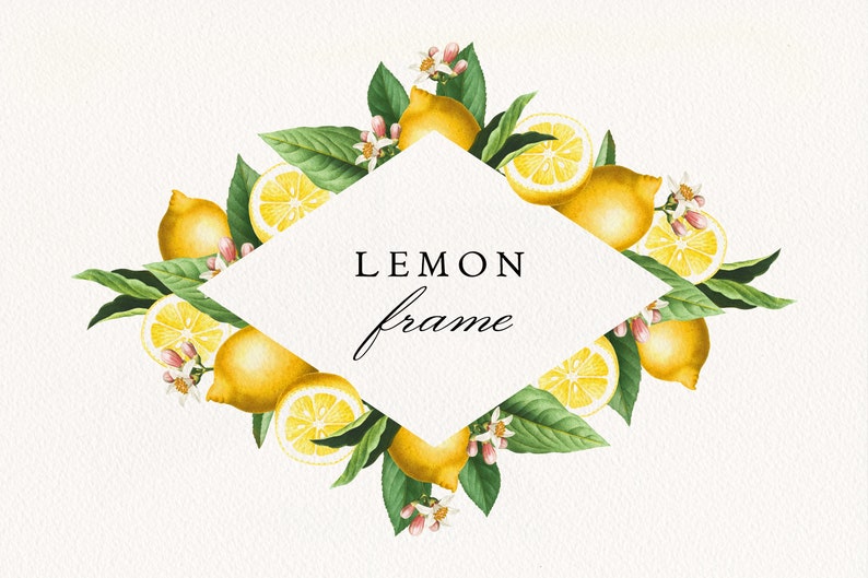 Lemon Citrus Diamond Frame 5 PNG Vintage Lemon Greenery - Etsy