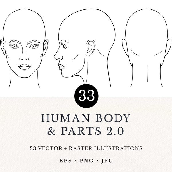 Female Body Line Art - Etsy
