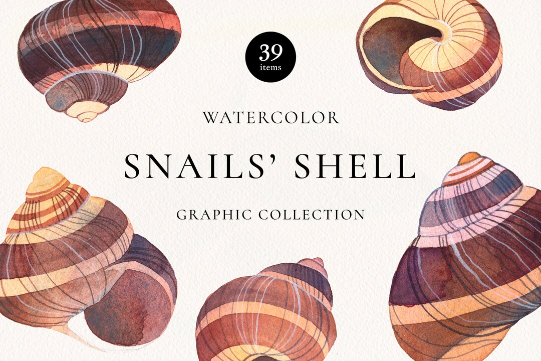 Watercolor Snail Shells PNG, Shell Watercolor and Line Art Clipart ...