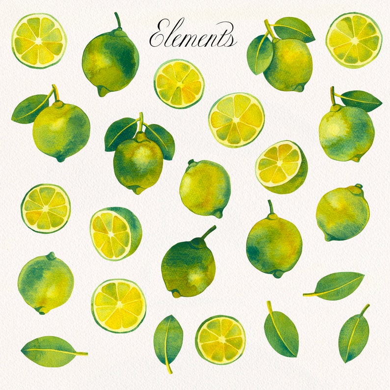 Lime Watercolor Clip Art Lime Citrus Elements Painting PNG - Etsy