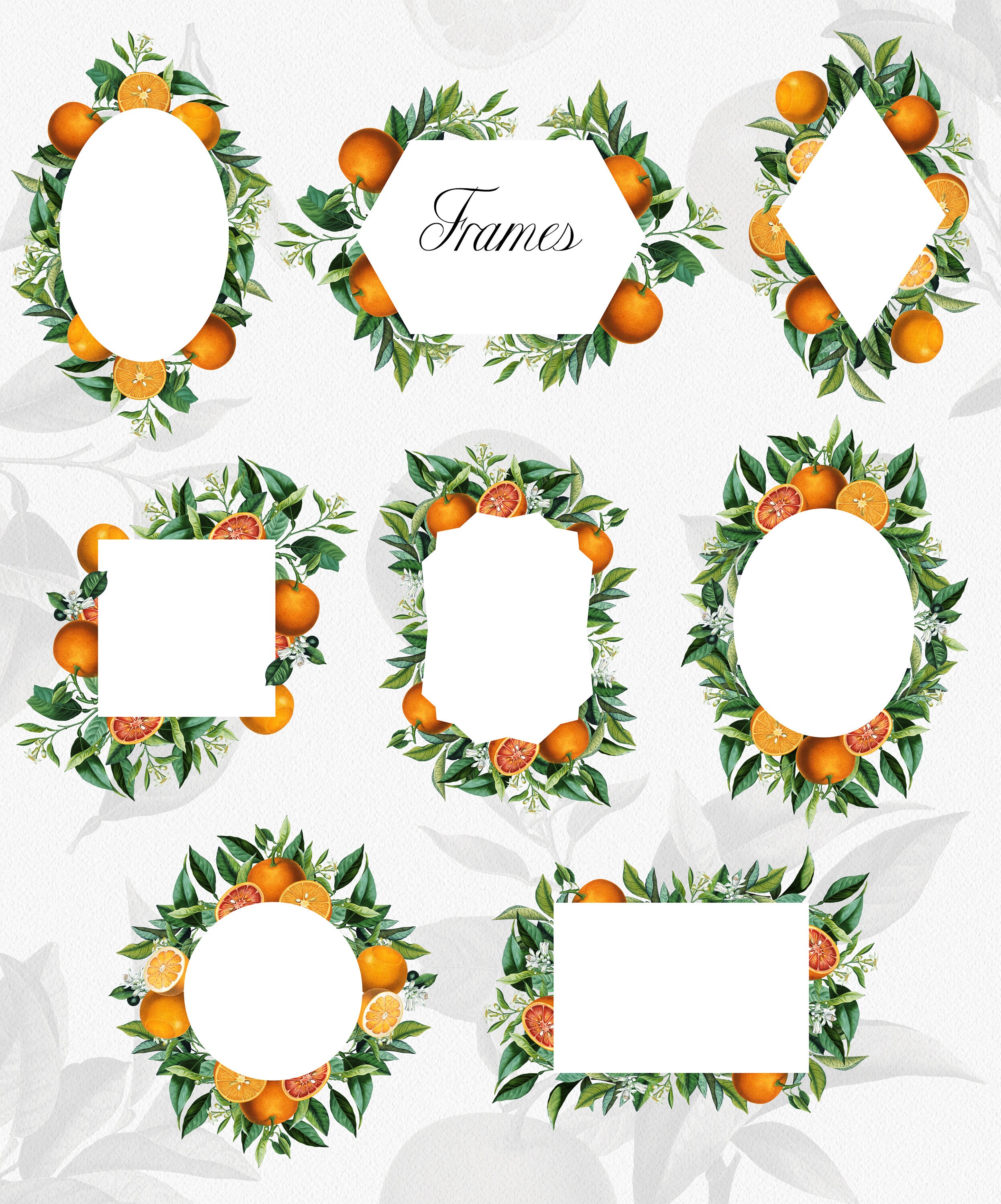 Antique Orange Citrus Floral Frames Clipart Orange Fruit - Etsy