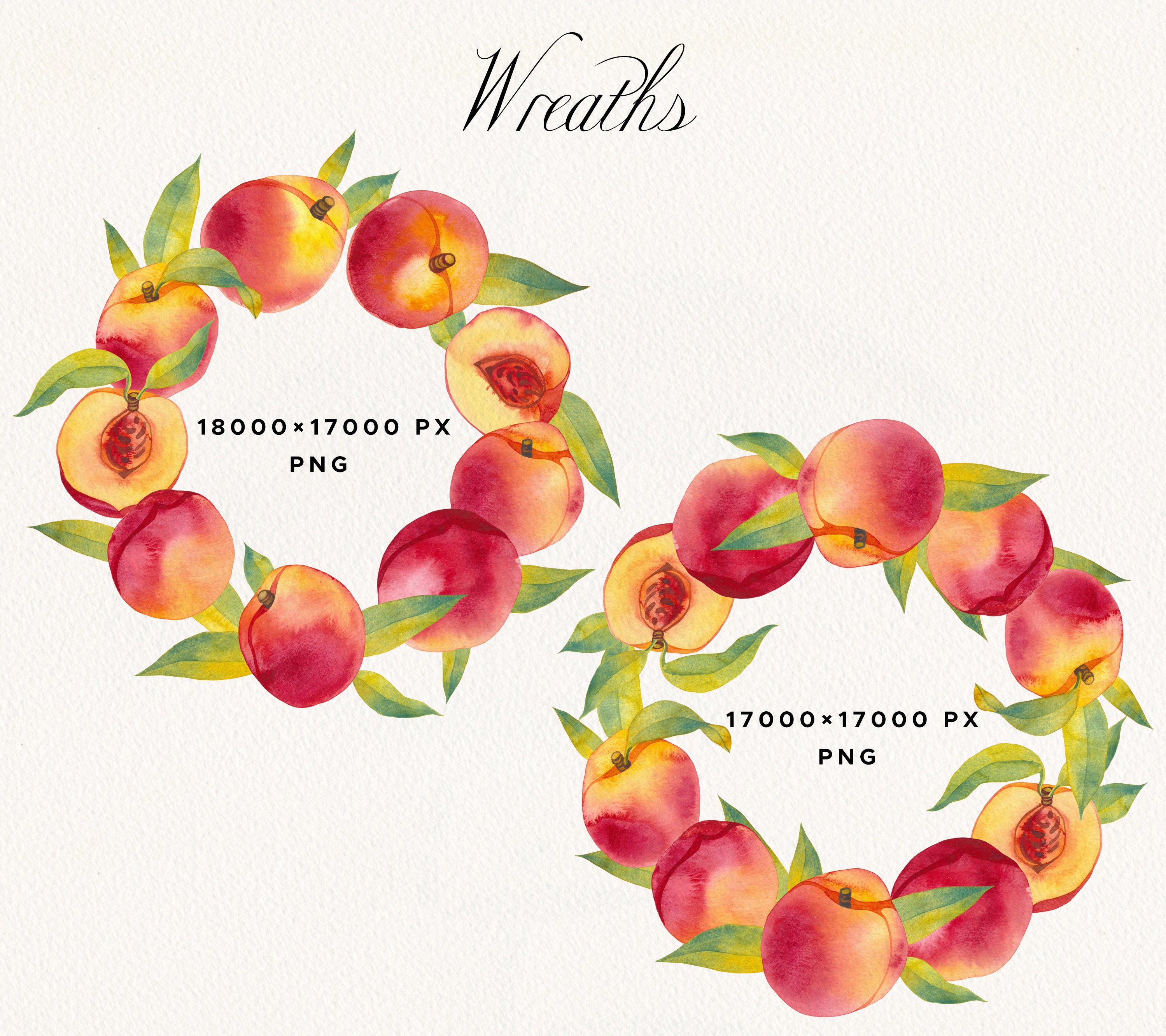 Peach Fruit Watercolor Clip Art Peach Painting PNG Clipart - Etsy